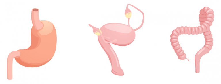 Pelvic Floor Dysfunction: The Signs, Symptoms, and Treatments